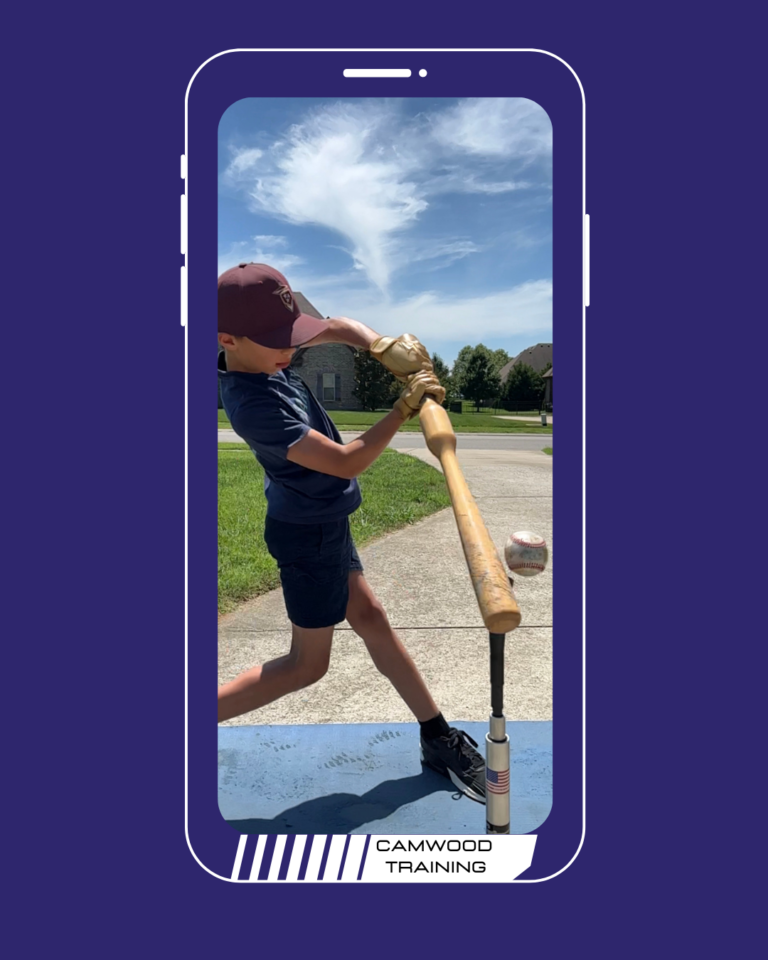 Camwood Bats: A Reliable Review